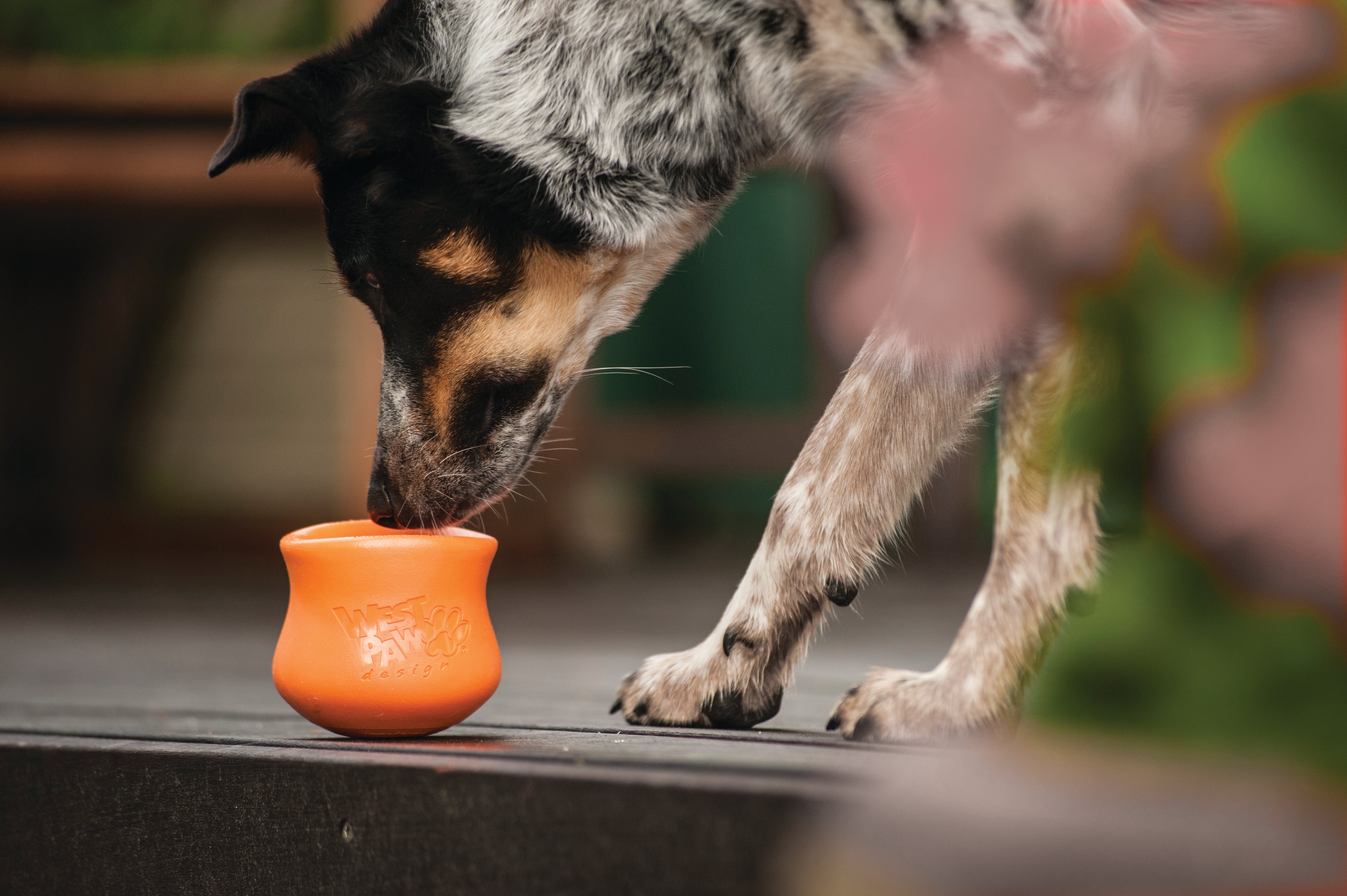 Toppl the Ultimate Slow Feeder and Mental Stimulation Toy for Dogs ...