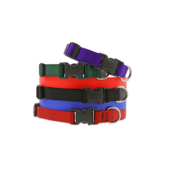 Quality Dog Accessories | Rover's Kit | Dorset – Rovers Kit